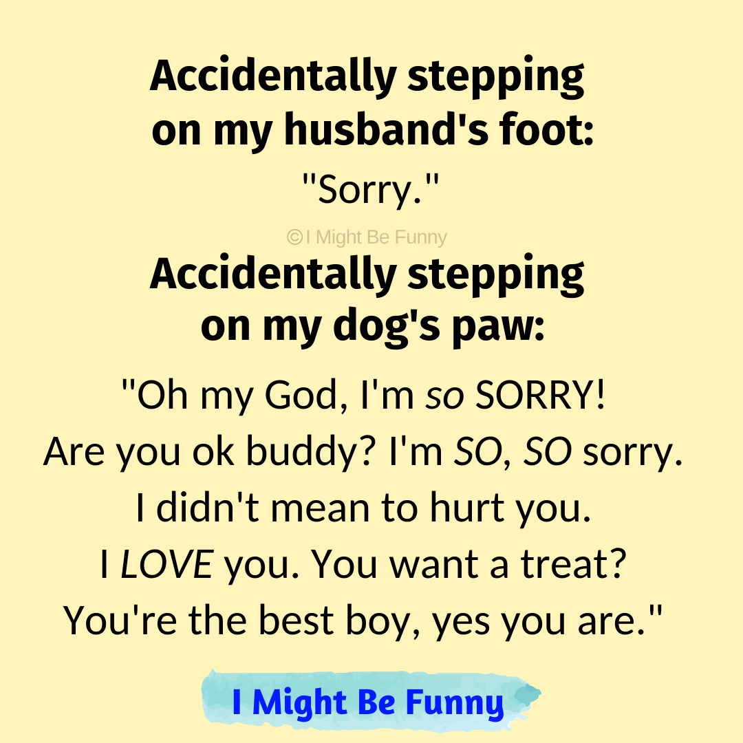 I Might Be Funny's Top 20 Humor Memes