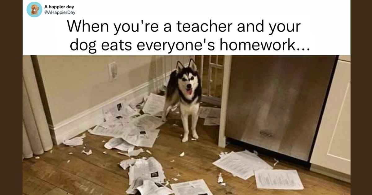 25 Hilarious and Heartwarming Tweets About Teacher Life
