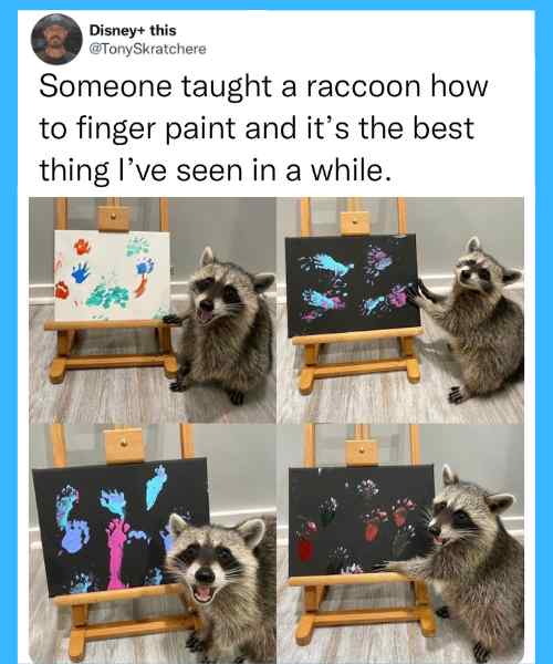 21 Wholesome Tweets That Will Make You Smile