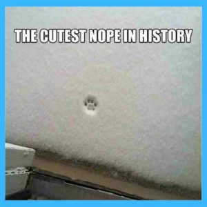 18 Funny and Relatable Memes About Winter to Brighten Up Your Day